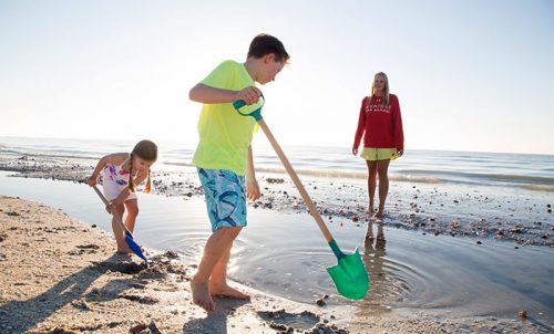Celebrate National Seashell Day on Sanibel Island | Sundial : Sundial ...