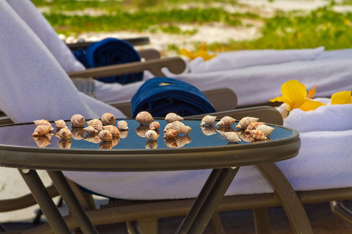 National Seashell Day - Know Your Shells - Sundial Beach Resort & Spa ...