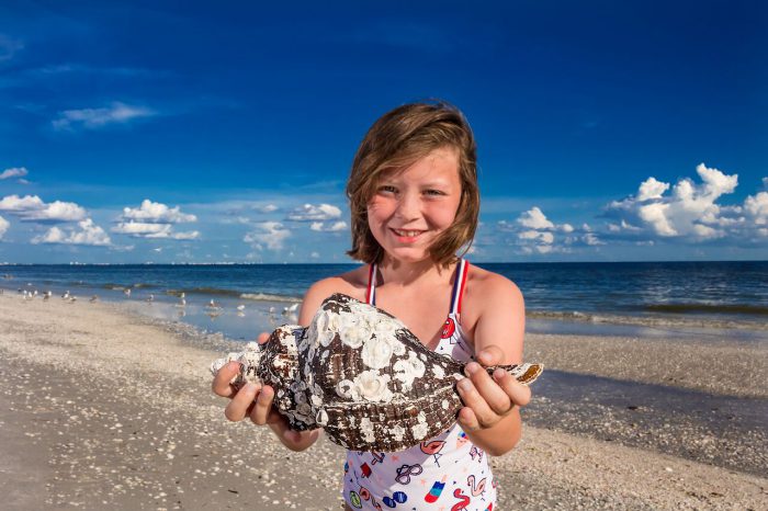 National Seashell Day - Know Your Shells - Sundial Beach Resort & Spa ...