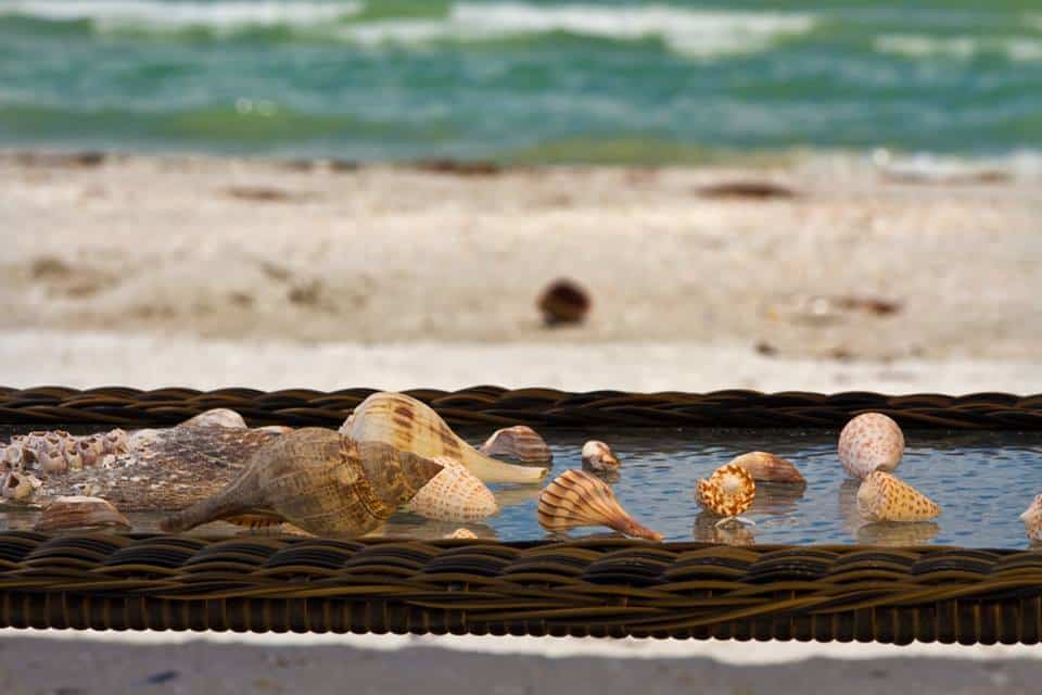 82nd Annual Sanibel Island Shell Festival - Sundial Beach Resort & Spa ...