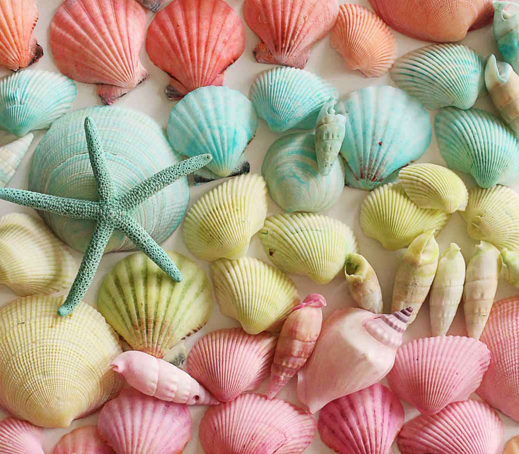 Easter Shell Crafts - Sundial Resort, Sanibel Island : Sundial Beach ...