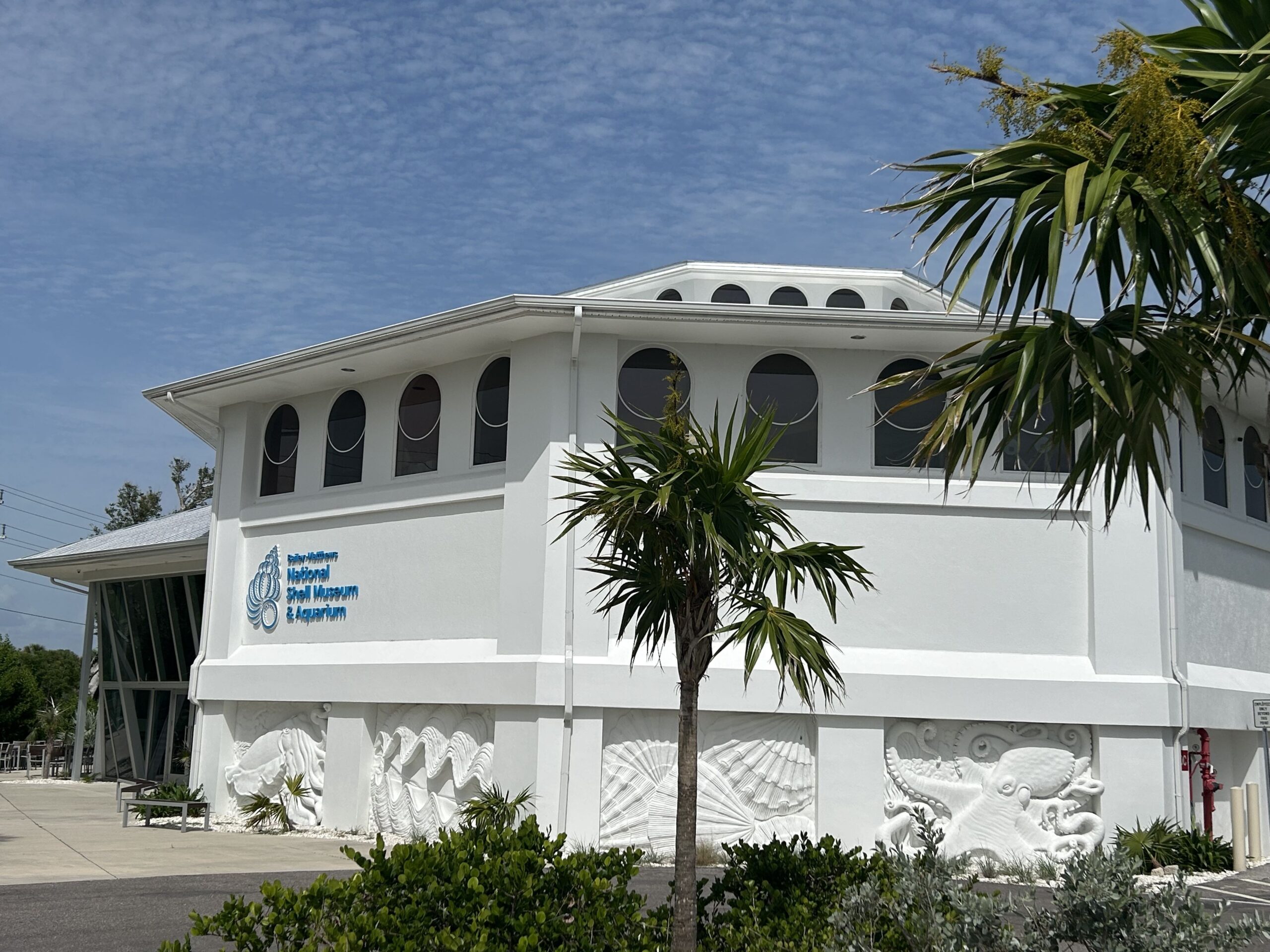 Spend an Afternoon at the Bailey-Matthews Shell Museum - Sundial Beach ...